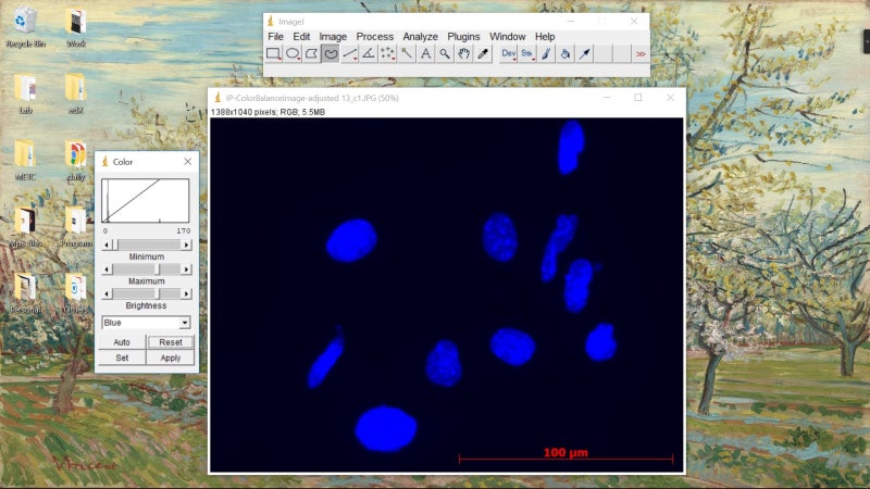 ImageJ를 이용한 세포 형광 사진 정량 방법 (measuring cell fluorescence intensity with ...
