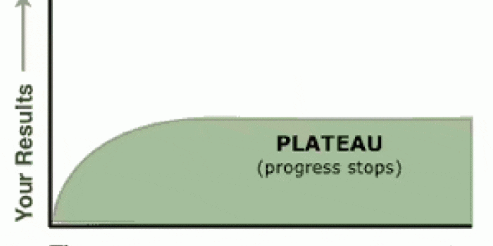 [청주영어학원 씨제이어학원] hit a plateau : 네이버 블로그