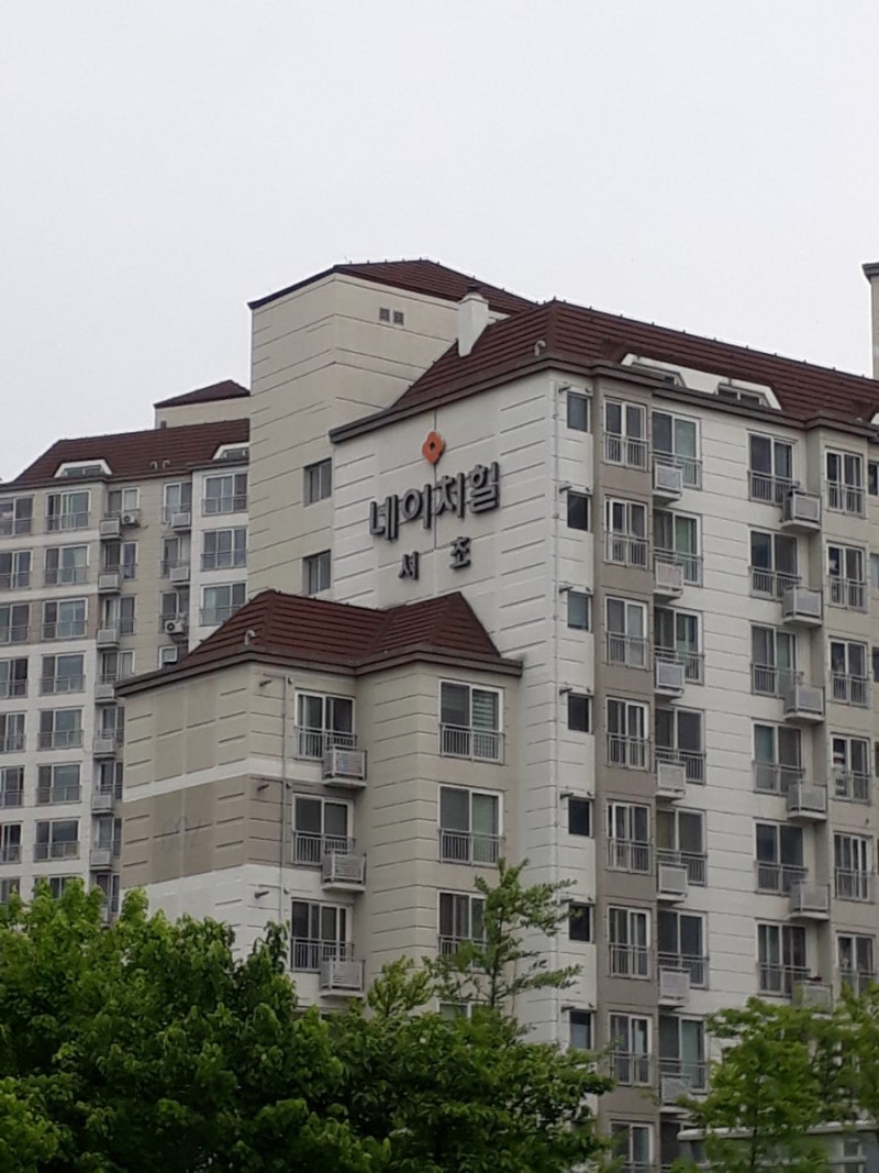 서울 서초 우면동 양재동 과천 피아노 조율 조정 수리 네이버 블로그