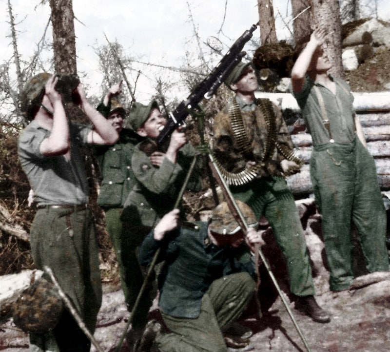 독일군 6 SS 산악 사단 노르트(6th SS Mountain Division Nord) 스토리 : 네이버 블로그