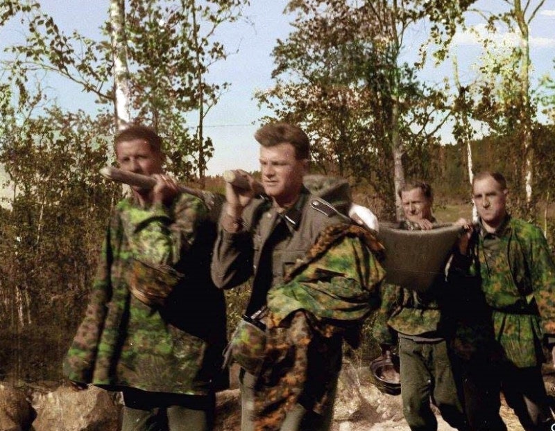 독일군 6 SS 산악 사단 노르트(6th SS Mountain Division Nord) 스토리 : 네이버 블로그