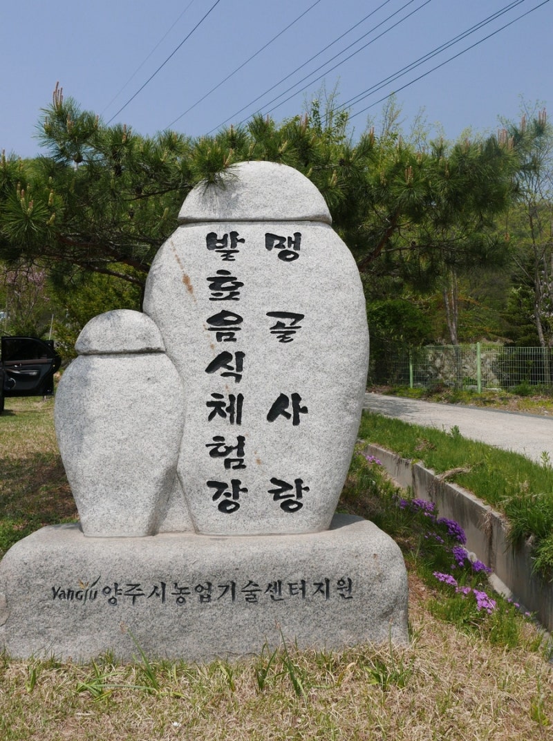 양주 두부만들기체험 맹골사랑 다녀왔어요 네이버 블로그