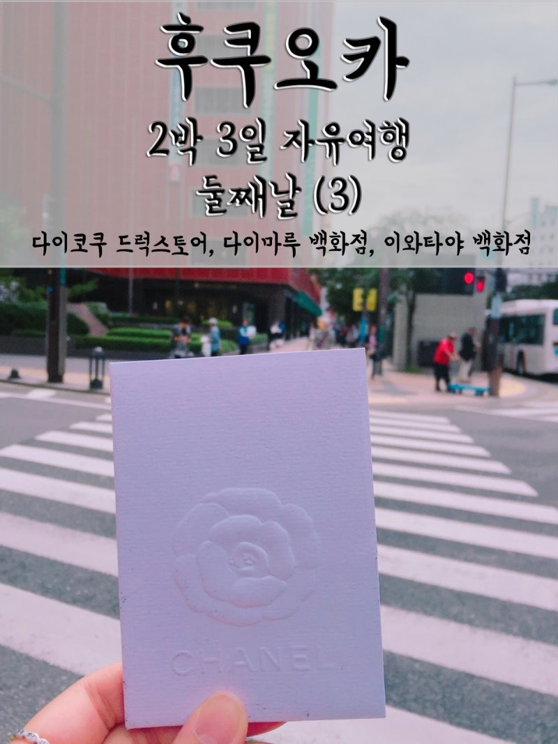 후쿠오카 자유여행 다이코쿠 드럭스토어 다이마루 백화점 샤넬매장 이와타야 백화점 꼼데가르송 2일차 3 네이버 블로그