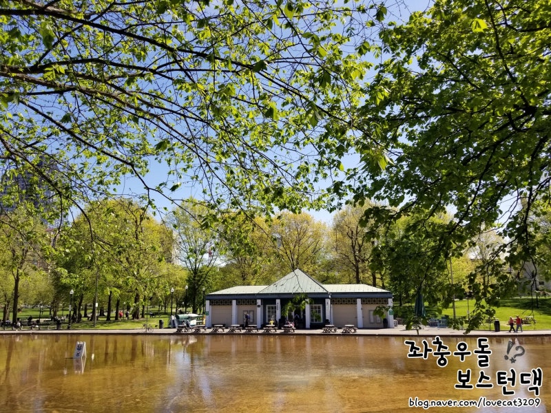 180511 ① 보스턴 여행_미국에서 가장 오래된 공원, 보스턴 커먼 : 네이버 블로그