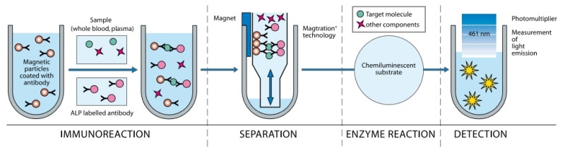 프리셉신(Presepsin, sCD14-ST)검사 임상적 의의 : 네이버 블로그
