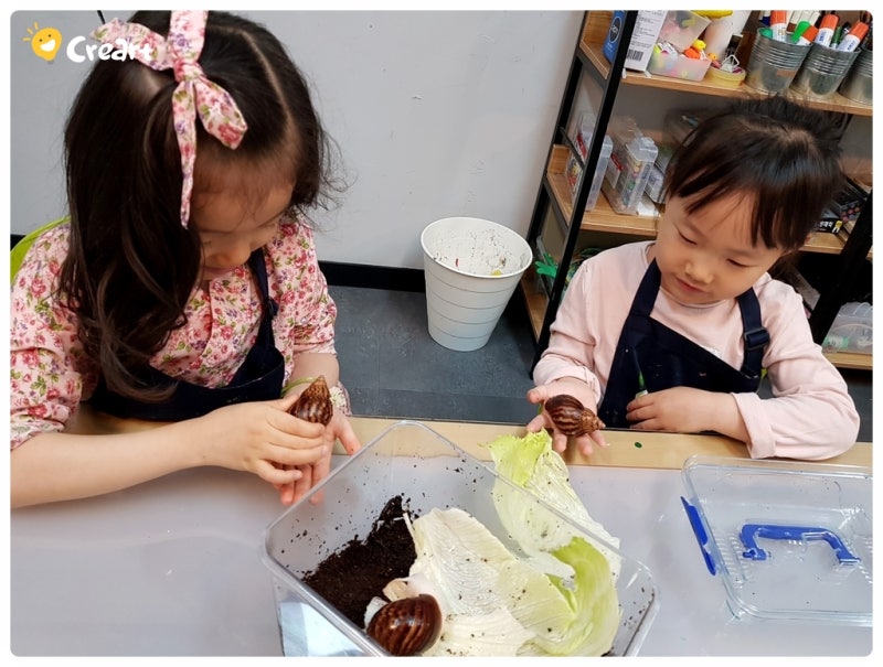 Klein 6·7세 수업 말랑말랑 달팽이 친구들 시흥시 정왕동 배곧 미술학원 창의미술 크리아트 네이버 블로그