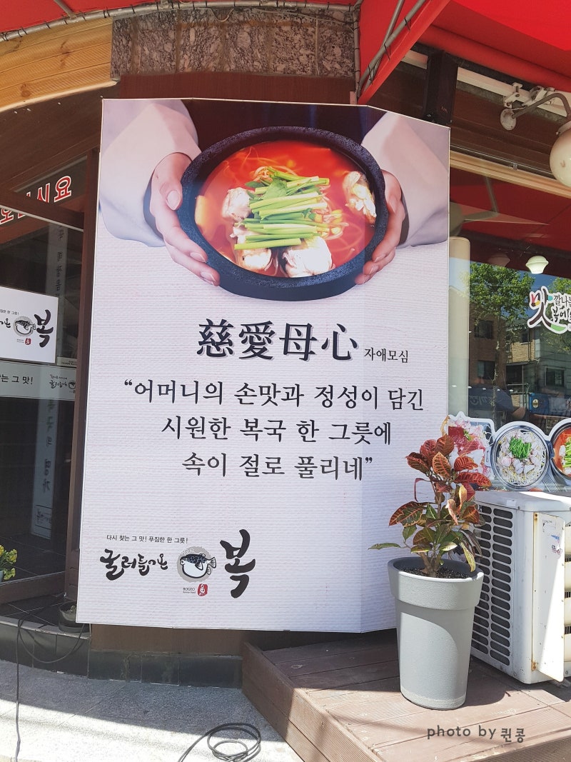 인천 부개역 부평맛집 굴러들어온 복 부개점 복어요리까치복국이랑 대구뽈탕 가성비갑 네이버 블로그