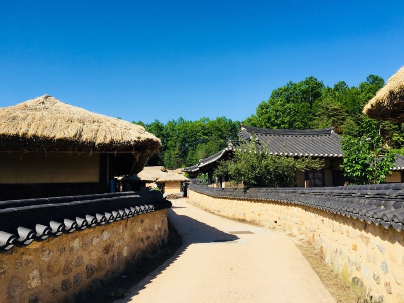 외나무 다리에서 만난 영주 무섬마을 경상북도 영주여행 한옥촌 영주 가볼만한 곳 네이버 블로그