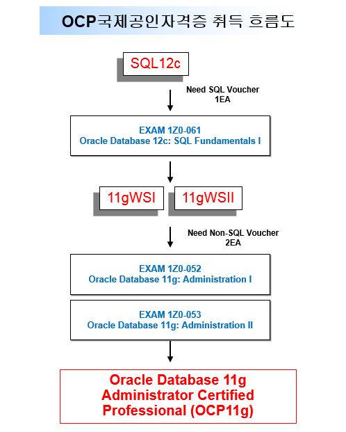 오라클 OCP 공인교육받고 OCP자격증 취득하기! : 네이버 블로그
