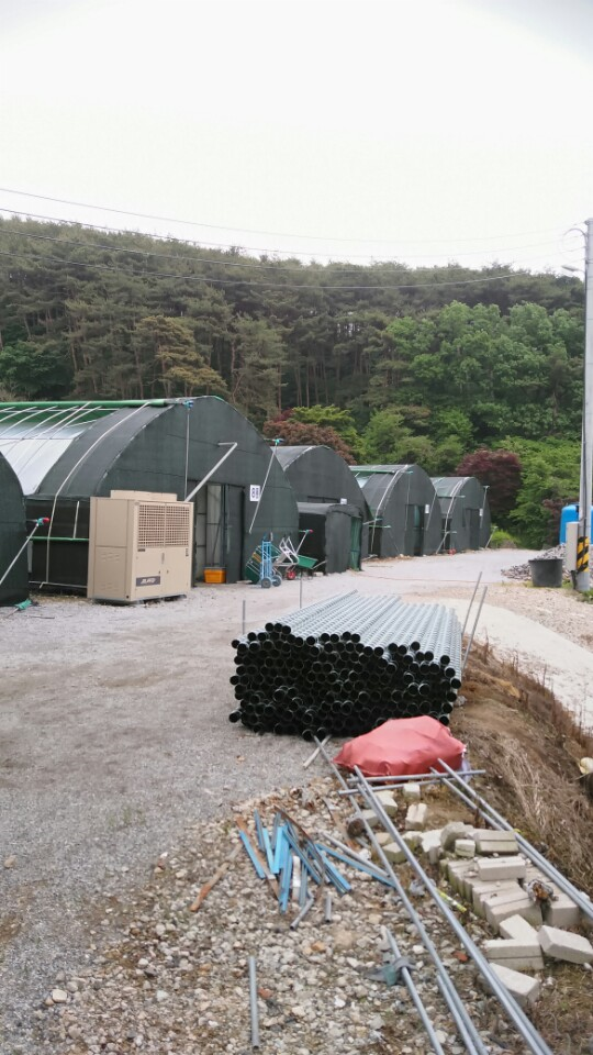 버섯 비닐하우스 난방 겨울철 시설하우스 작물 재배 시 필수 난방시스템ces탄섬난방공조시스템 네이버 블로그