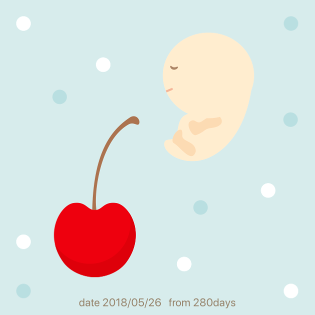 임신6주차 입덧증상 임신초기 자궁낭종 발견 네이버 블로그