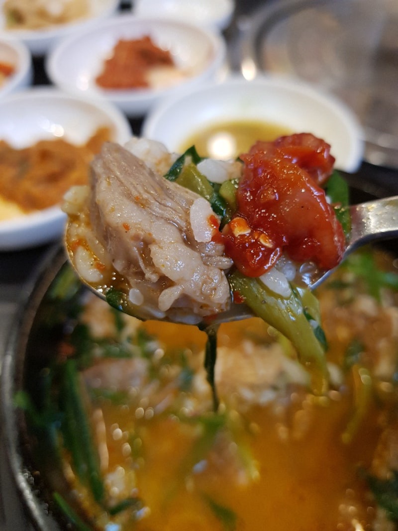 대전 용전동 맛집 • 용전한우 최상급 암소한우 모임 회식장소로 굿 네이버 블로그