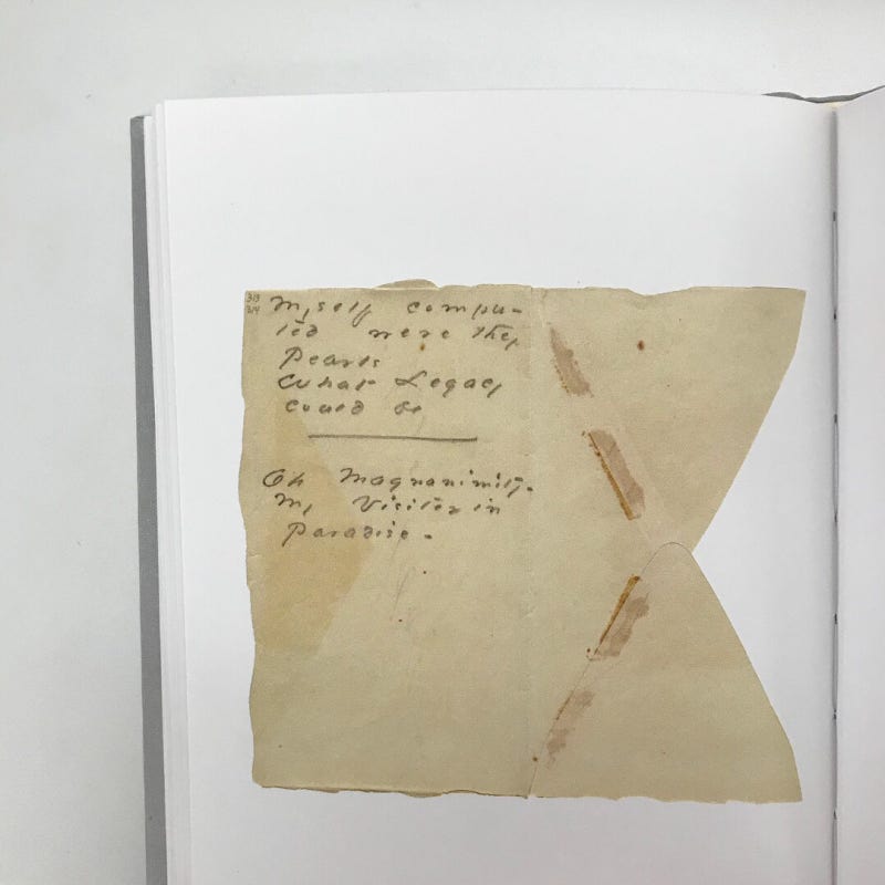 Emily Dickinson, Envelope Poems : 네이버 블로그