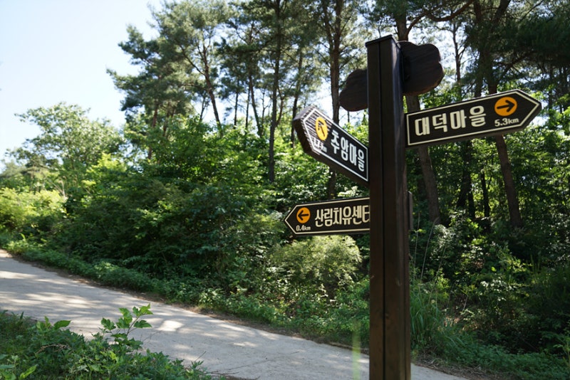 장성 축령산 산행 621m 축령산 등산코스 추암주차장 자연휴양림 네이버 블로그