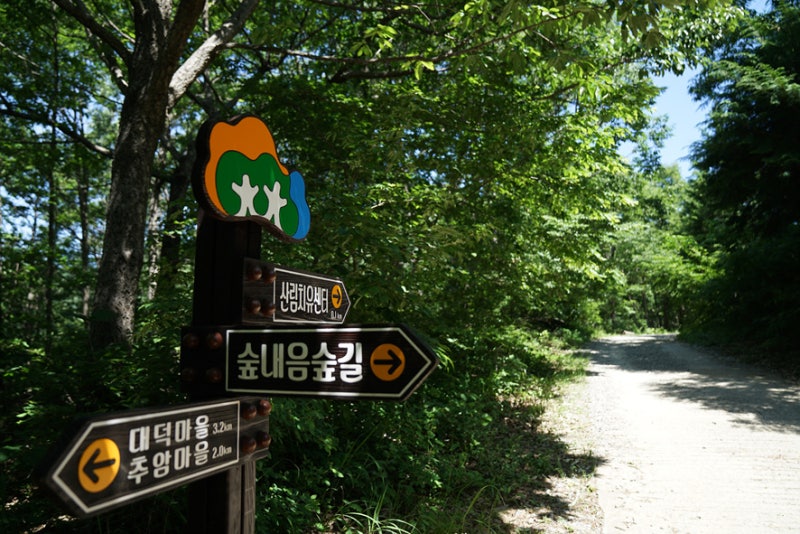 장성 축령산 산행 621m 축령산 등산코스 추암주차장 자연휴양림 네이버 블로그