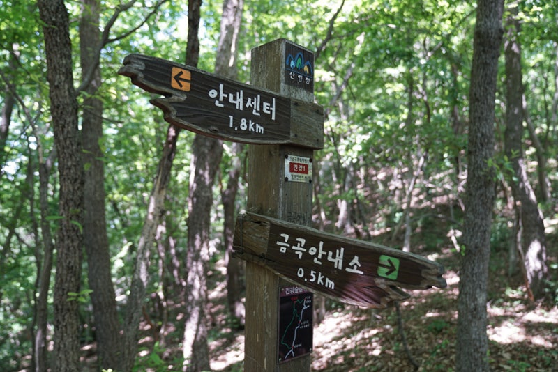 장성 축령산 산행 621m 축령산 등산코스 추암주차장 자연휴양림 네이버 블로그