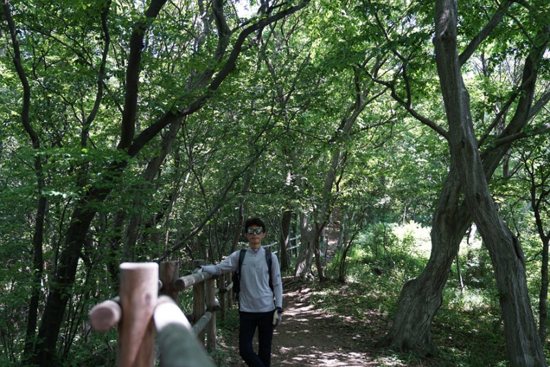 장성 축령산 산행 621m 축령산 등산코스 추암주차장 자연휴양림 네이버 블로그