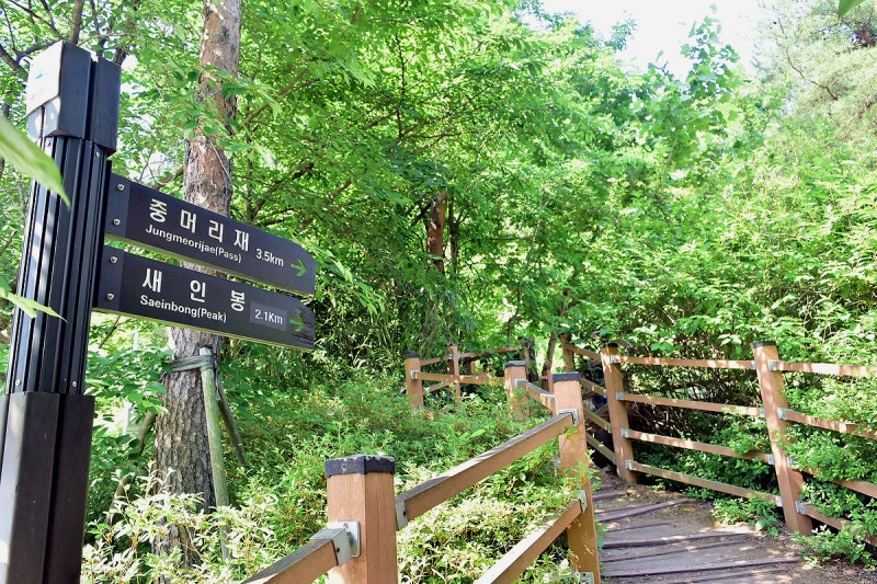 무등산 등산 새인봉 서인봉 중머리재 증심사 코스 내가 왜 또 산을 오르나 싶다가도 올라가면 좋은 것 네이버 블로그