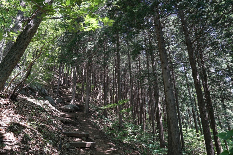 장성 축령산 산행 621m 축령산 등산코스 추암주차장 자연휴양림 네이버 블로그