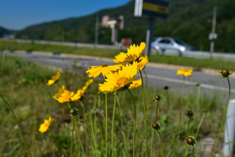 운악산 등산코스경기 5악 중의 하나 포천 운주사에서 올라 가평 현등사하판리로 하산한 산행코스 네이버 블로그
