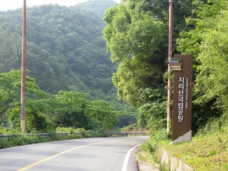 지리산 뱀사골 반선에서 뱀사골계곡따라 걷다보니 지리산 천년송이 있는 와운마을까지 : 네이버 블로그