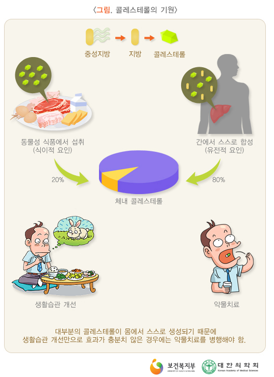 이상지혈증고지혈증 이란 세종시내과 내시경건강검진 최훈내과 네이버 블로그