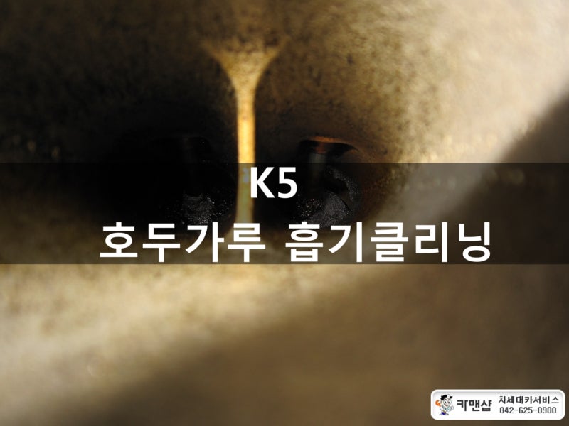 K5 흡기클리닝호두가루 카본청소 Gdi흡기크리닝 밸브클리닝 인젝터클리닝 노킹 소음 진동 Rpm떨림 출력저하 조기점화 연비