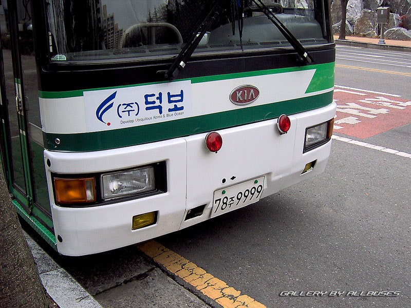 코스모스-긴급차에디션 : 네이버 블로그