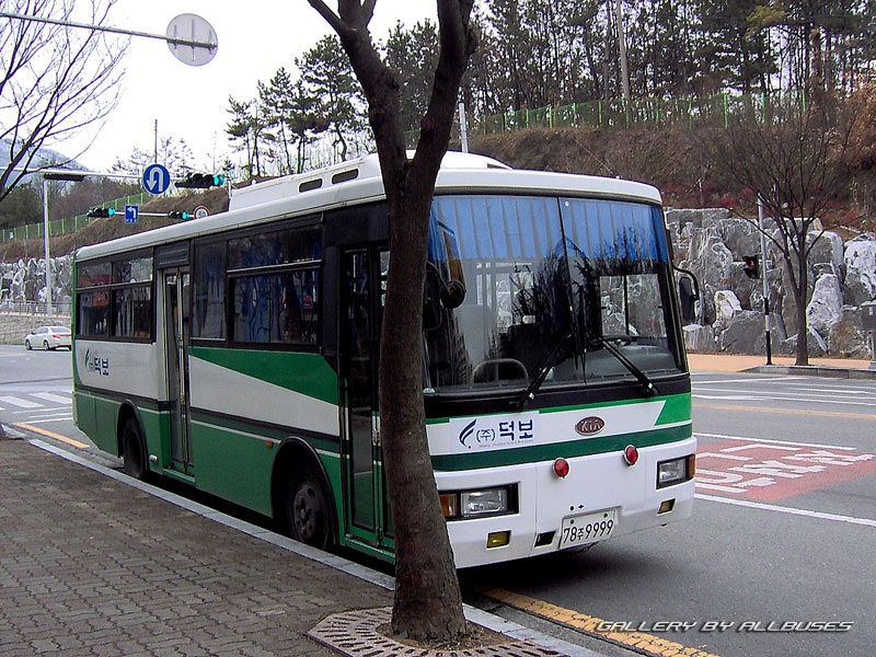 코스모스-긴급차에디션 : 네이버 블로그