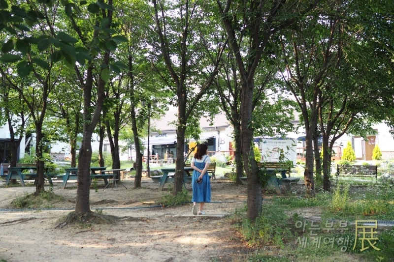 이천 맛집 우리가 좋아하는 김쉐프의 텃밭 레스토랑 네이버 블로그