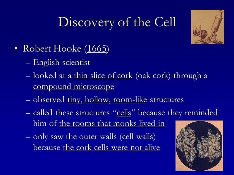 세포 발견과 세포설(Discovery of the Cell and Cell theory) : 네이버 블로그