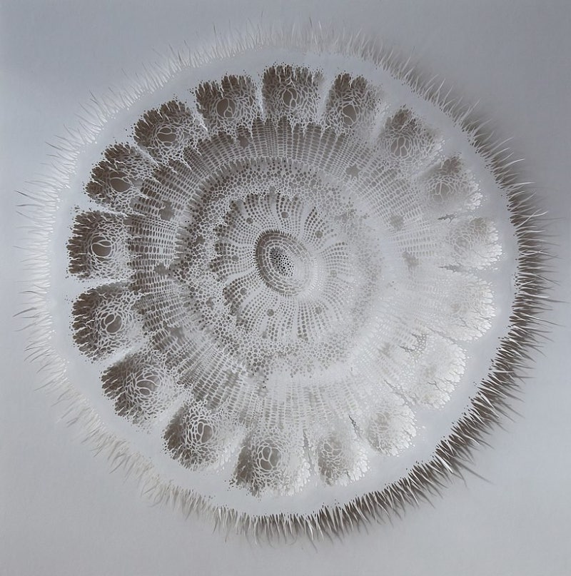 ROGAN BROWN 페이퍼 아트 : 네이버 블로그