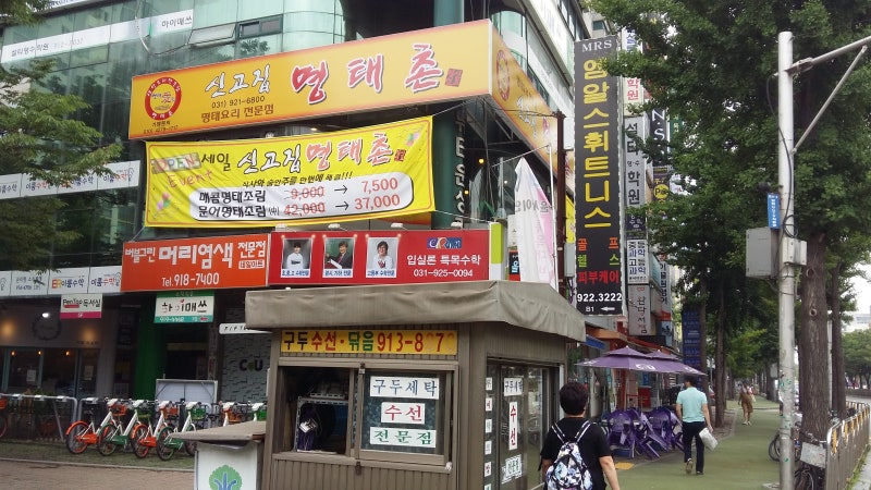 일산 맛집 양식과 호프집으로 업종변경 후곡마을 신고집 명태촌 학원가 명태조림 식당 코다리 아구찜 쭈꾸미 네이버 블로그