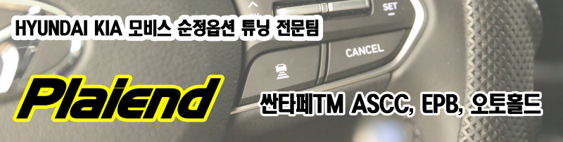 신형 싼타페tm Ascc 오토홀드 Epb전자파킹 순정 옵션 튜닝해 넣기 네이버 블로그