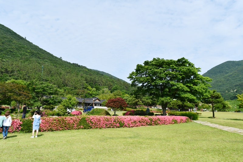 진도 운림산방 남종화를 볼 수 있는 살아있는 미술관 네이버 블로그