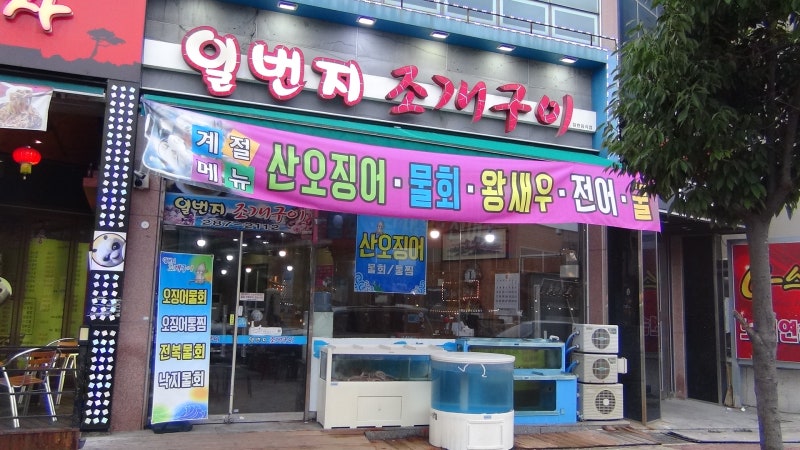 목포 평화광장 조개구이 맛집 일번지 조개구이 네이버 블로그