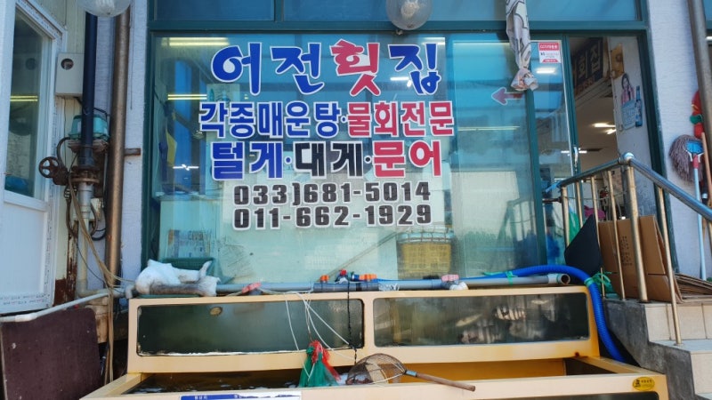 고성맛집 거진항 어전횟집 거진해변 뷰 추전 네이버 블로그