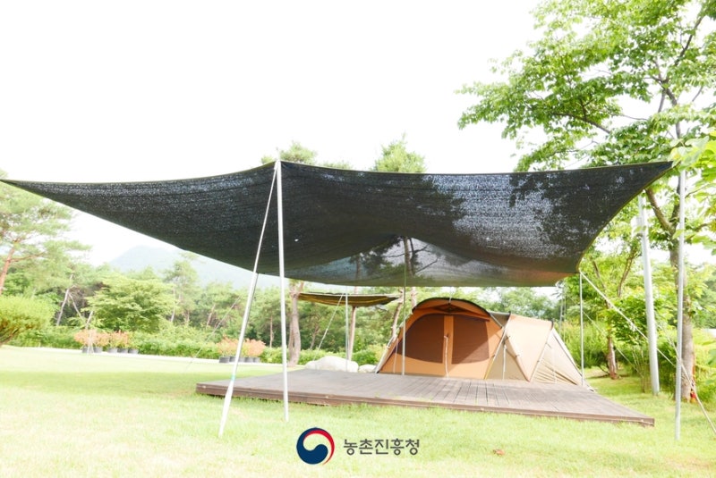전남 화순 제철 맞은 블루베리 직접 수확해요 농촌교육농장 베리팜 농원 네이버 블로그