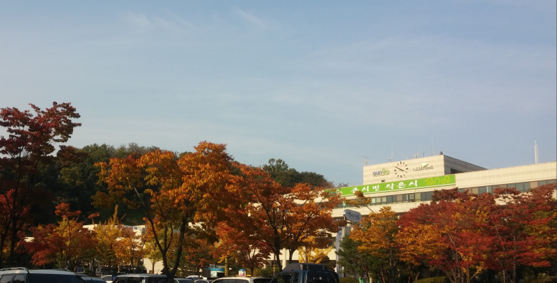 군포대야미 공공주택지구 지정 지형도면 고시토지보상 영업보상 이전비 생활대책 이주대책 보상계획 감정평가 협의