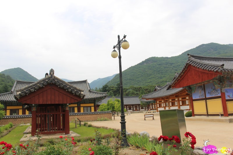 청도 운문사에 다녀왔습니다운문사호거산 운문사청도 가볼 만한 곳 운문사 사리암청도 운문사 사리암자나반존자 네이버 블로그