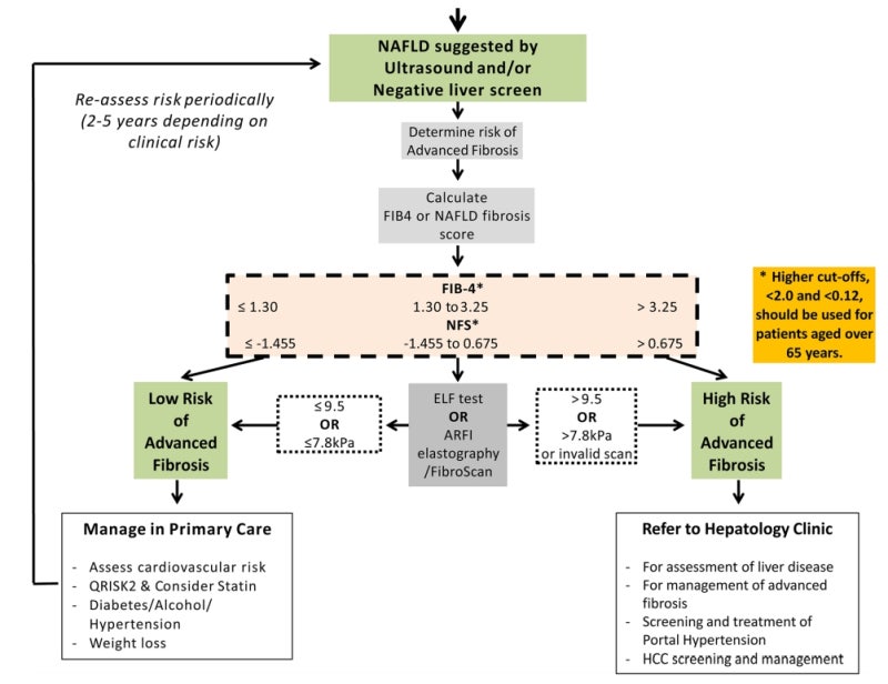 Guidelines on the management of abnormal liver blood tests, Gut 2018 ...