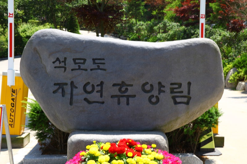 인천 가볼만한곳 강화도 석모도자연휴양림 석모도수목원 네이버 블로그
