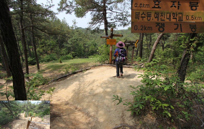 쟁기봉(194m), 효자봉(194m), 장안봉(177m), 해철이산(266m), 침산(267m), 만성산(266m) 대전광역시 ...