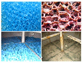 Bio Trickling Filter :: Bio trickling filter : 네이버 블로그