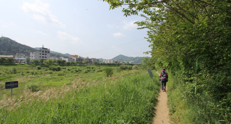 쟁기봉(194m), 효자봉(194m), 장안봉(177m), 해철이산(266m), 침산(267m), 만성산(266m) 대전광역시 ...