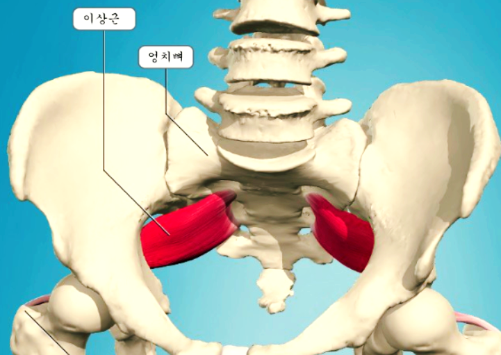 다리가 저려요 이상근증후군 원인증상알아보기 네이버 블로그