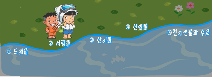 서귀포의 아름다운 물을 찾아서 「대정 샘물」 : 네이버 블로그