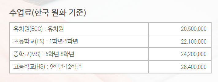 대구국제학교dis입학 입학서류 학비 대구국제학교는 어떤 학교인가 네이버 블로그